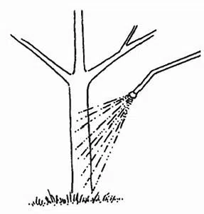 JLB Oil Plus: Combating Problematic Woody Plant Species – Brewer ...